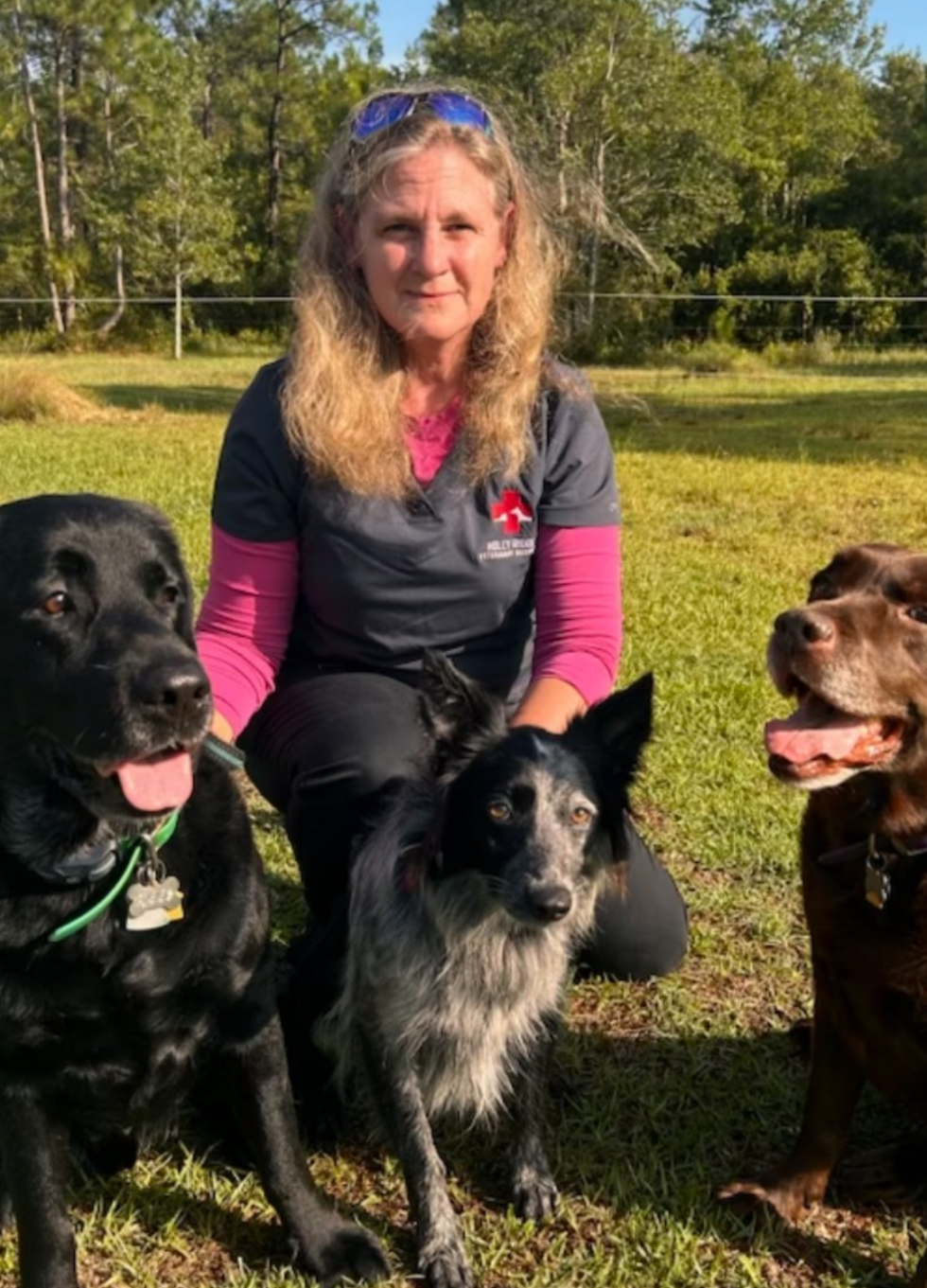 About Holly Ridge Veterinary Hospital- Serving Holly Ridge, Onslow ...