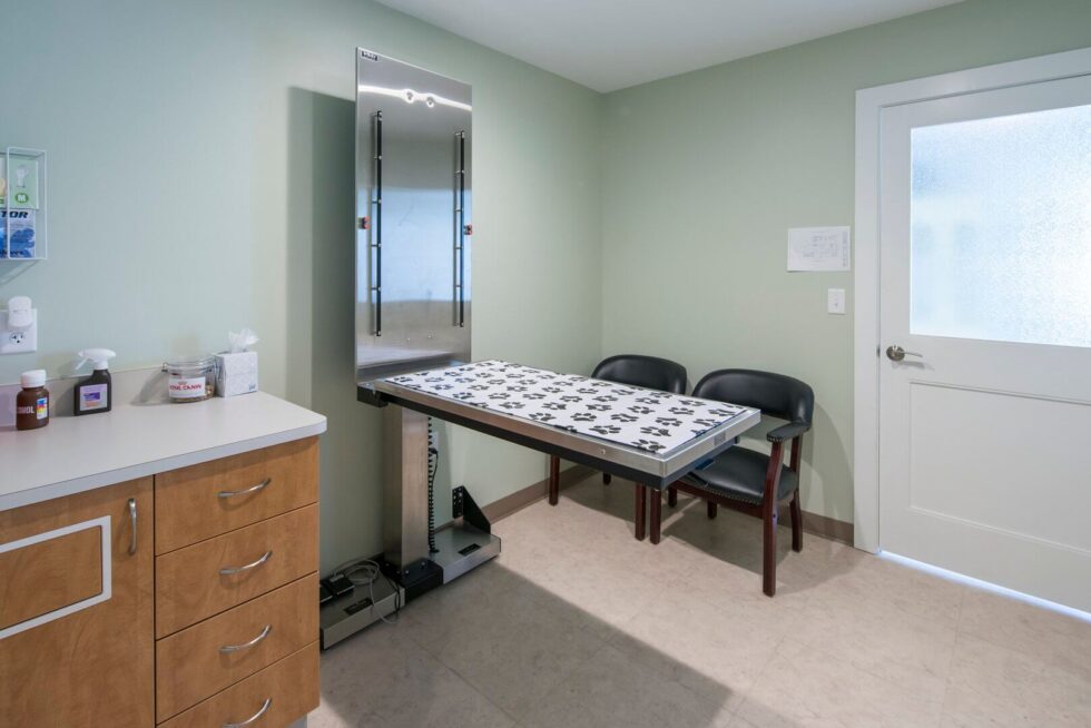 About Holly Ridge Veterinary Hospital- Serving Holly Ridge, Onslow County & Beyond